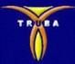 Truba Institute of Engineering & Information Technology, Bhopal, Madhya ...