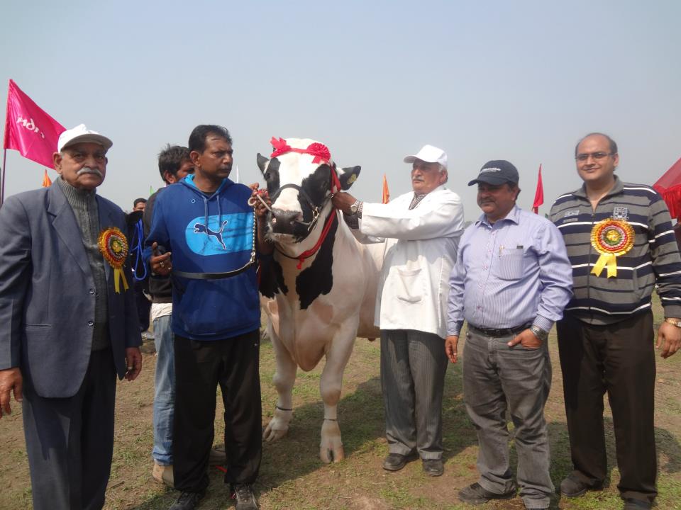 National Dairy Research Institute (NDRI), Karnal, Haryana - Careerindia