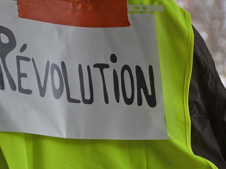 Agricultural Revolutions in India: Green, Golden, Blue & Yellow ...