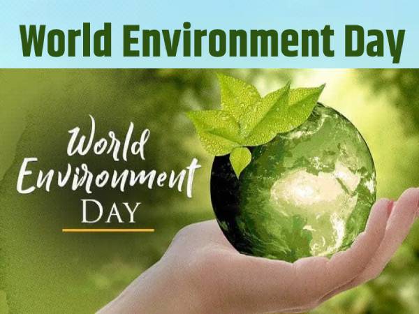 Environmental Science में करियर कैसे बनाएं? जानिए योग्यता, इंस्टिट्यूट ...