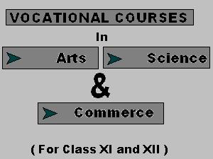 Vocational Courses | Class 11 | Class 12 | Arts | Science | Commerce ...