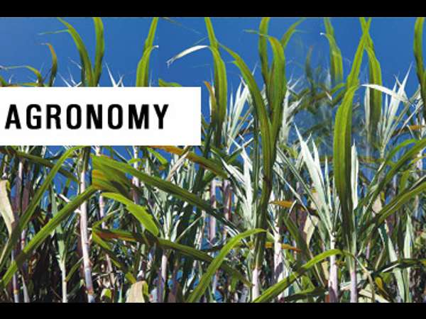 What is Agronomy? - Scope and Career opportunities - Careerindia