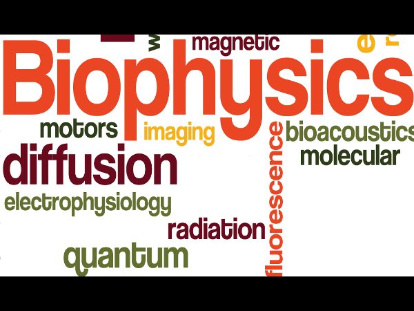 What is Biophysics? Scope and Career opportunities - Careerindia