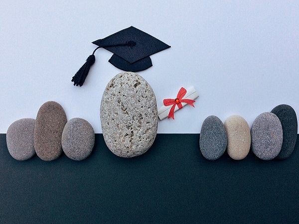 BSEB Matric Certificate: How To Download Bihar Board 10th Certificate ...