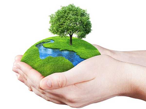 Mission LiFE: Introduction, Background, Individual Responsibility ...