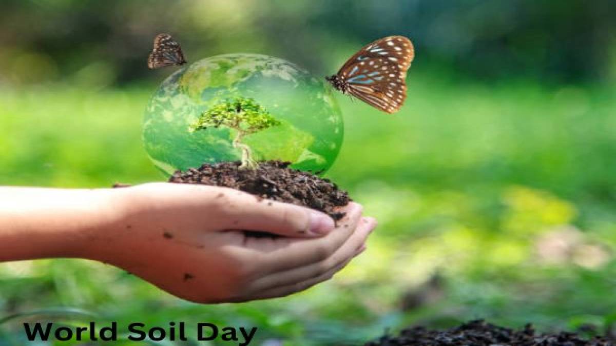 World Soil Day: To Promote Awareness on Soil for a Healthy Ecosystem ...