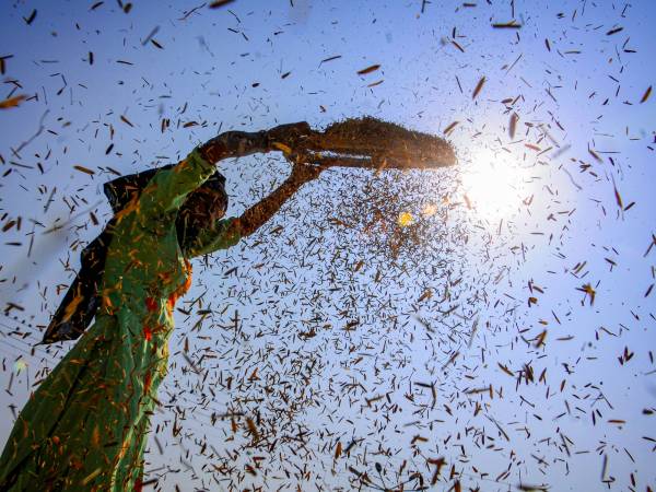 5 Sutras to Better FCI's Progress: A Focus on Modern Infrastructure ...