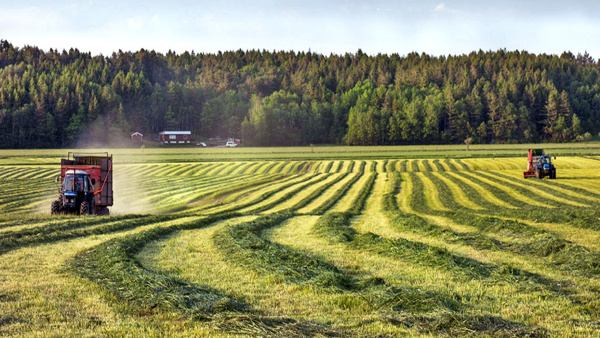 What Do Environmental Scientists Do? - Careerindia