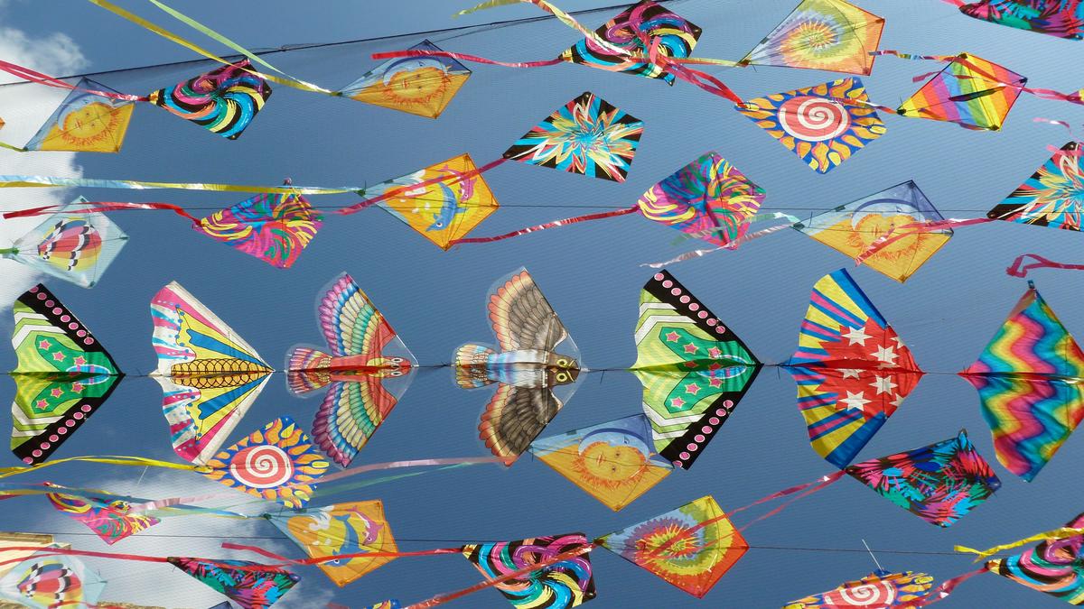 International Kite Day; Everything you need to know - Careerindia