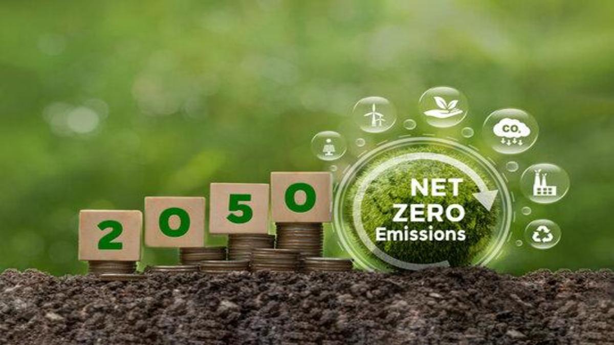 Net Zero by 2050: A Feasible Goal or a Greenwashing Slogan? - Careerindia