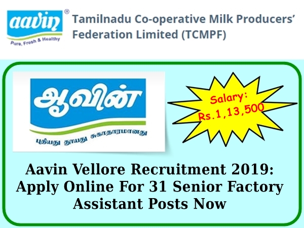 வேலை, வேலை, வேலை.! ரூ.1.13 லட்சம் ஊதியத்தில் ஆவின் நிறுவனத்தில் வேலை ...